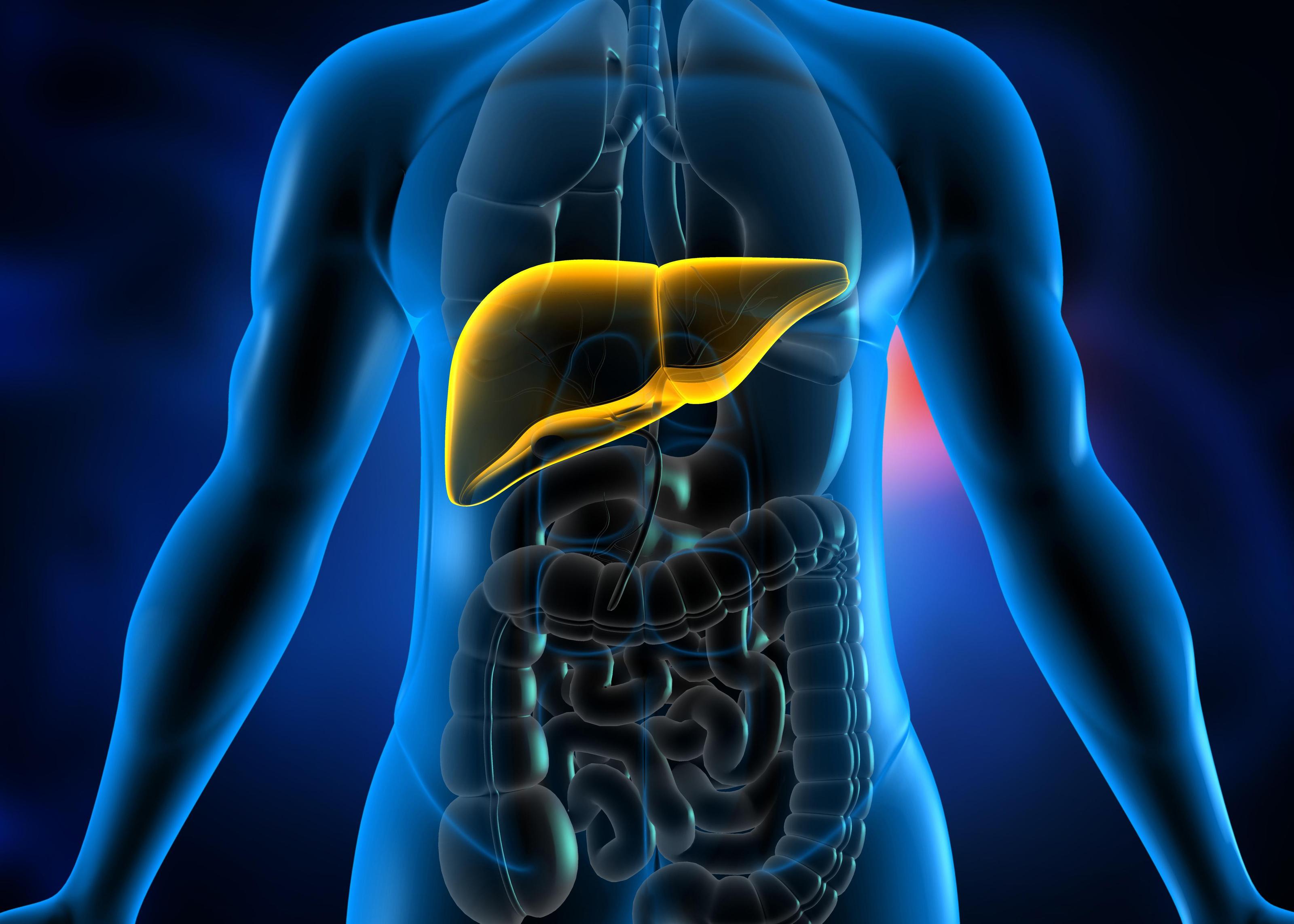 9-11PM Gall Bladder Acupuncture Meridian