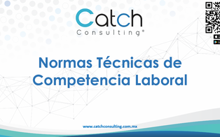 CATCH CONSULTING
