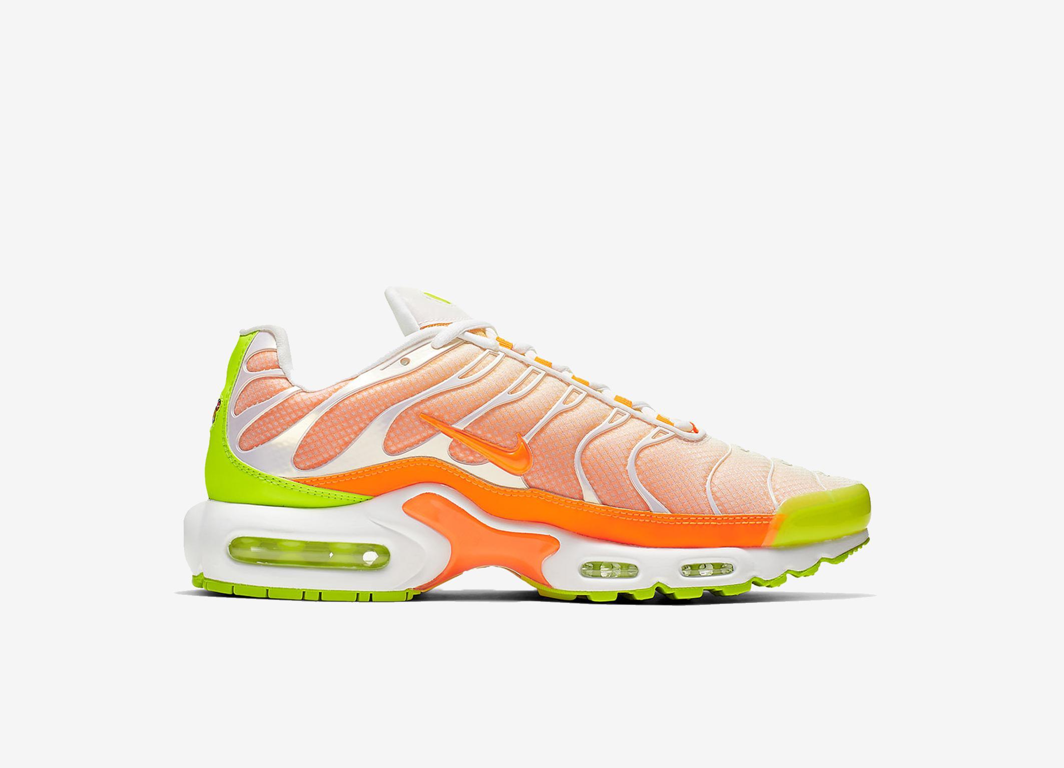 NIKE Air Max Plus Color Flip