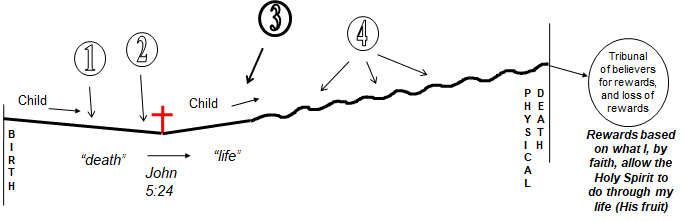 A Biblical Model for Personal Discipleship