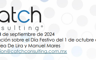 CATCH CONSULTING