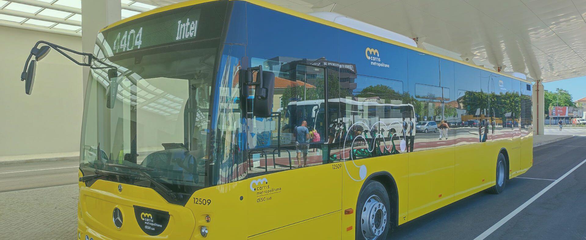Buses