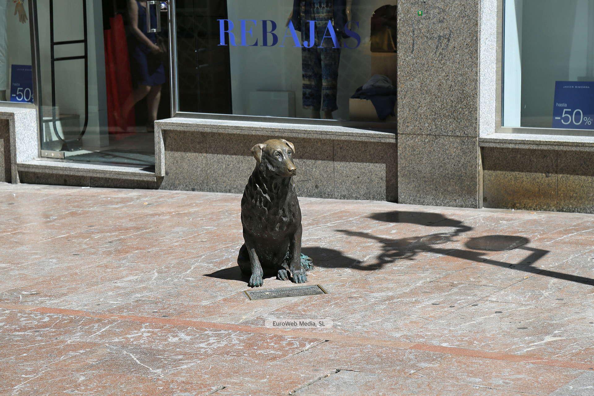 Rufo, el perro de Oviedo