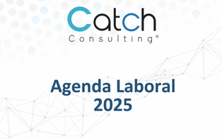 CATCH CONSULTING