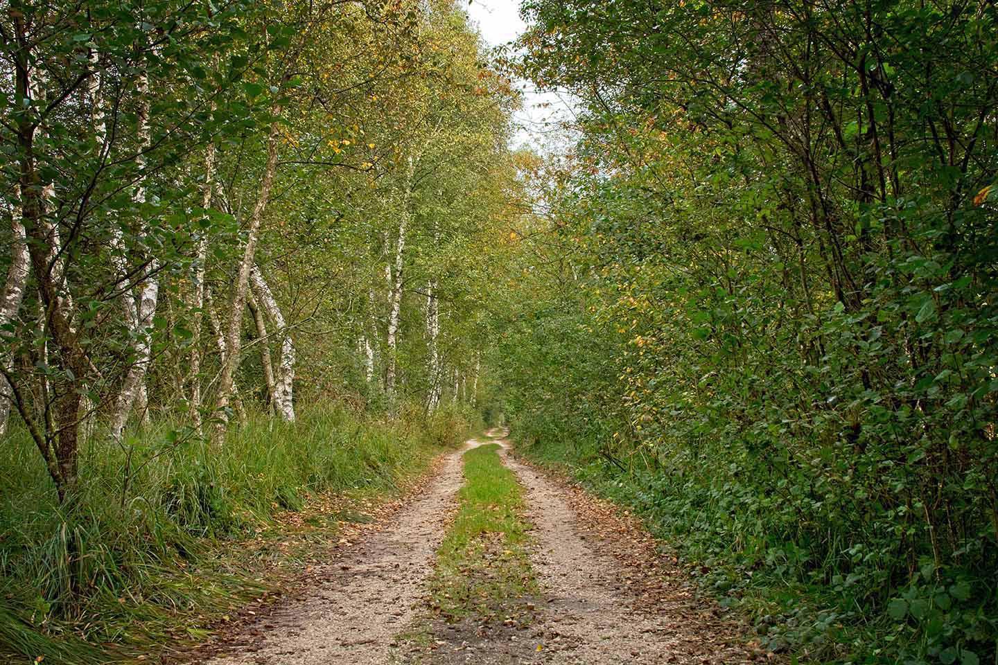 Ruta San Esteban - Picón del Cuerre - San Esteban