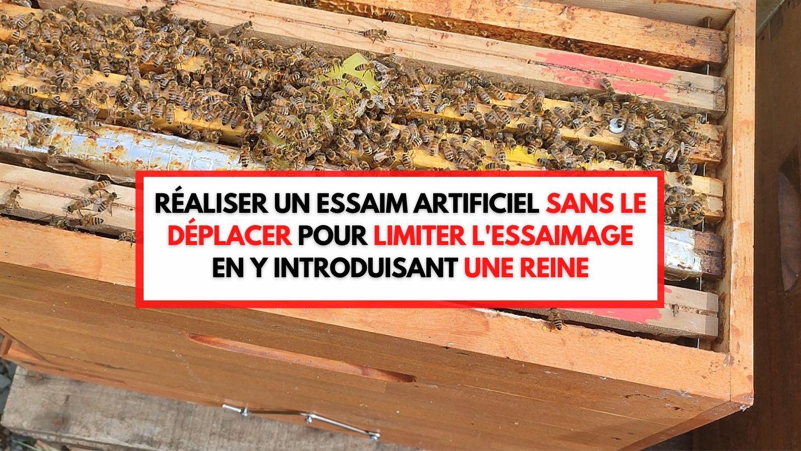 Réaliser un essaim artificiel sans le déplacer pour limiter l'essaimage ...