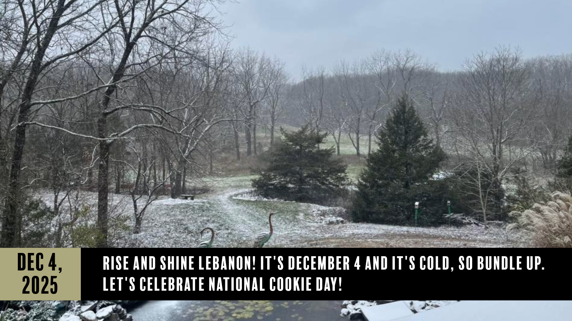 It's Thursday, December 4th and It's National Cookie Day! Share Your ...