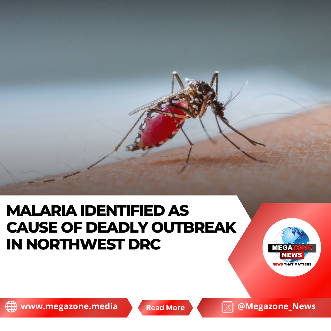 Malaria Identified as Cause of Deadly Outbreak in Northwest DRC