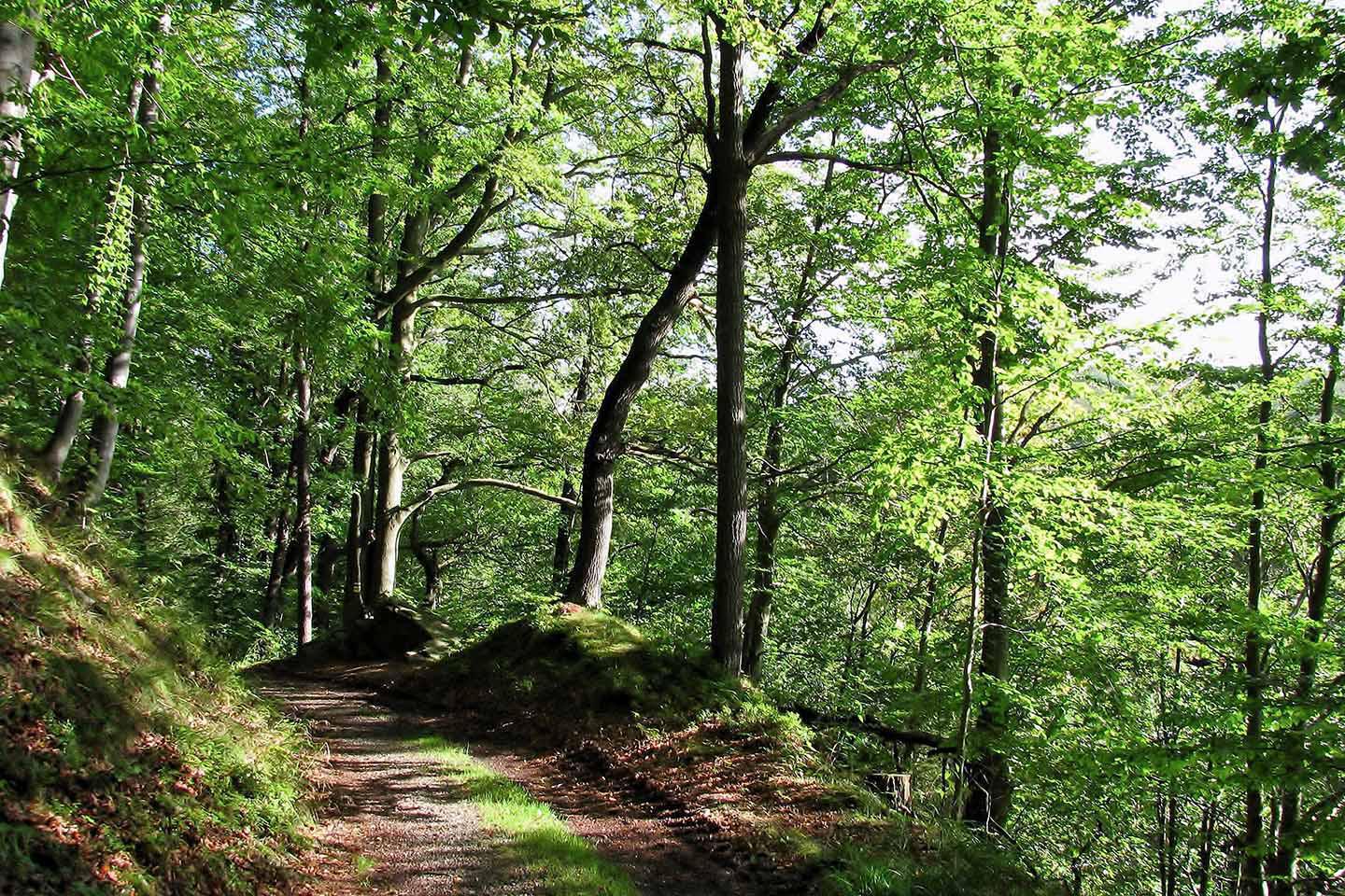 Ruta El Berron-Hevia-Santa Marina y La Paranza