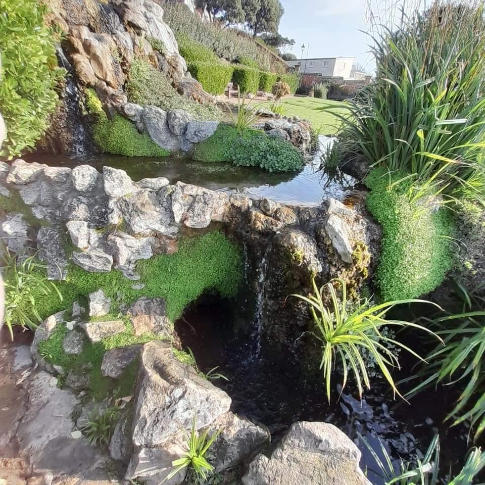 Wonderfully Green Garden Photos by Stephen Emmerson