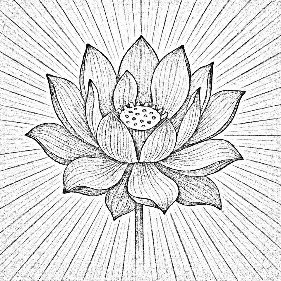 Radiant lotus woodburn design