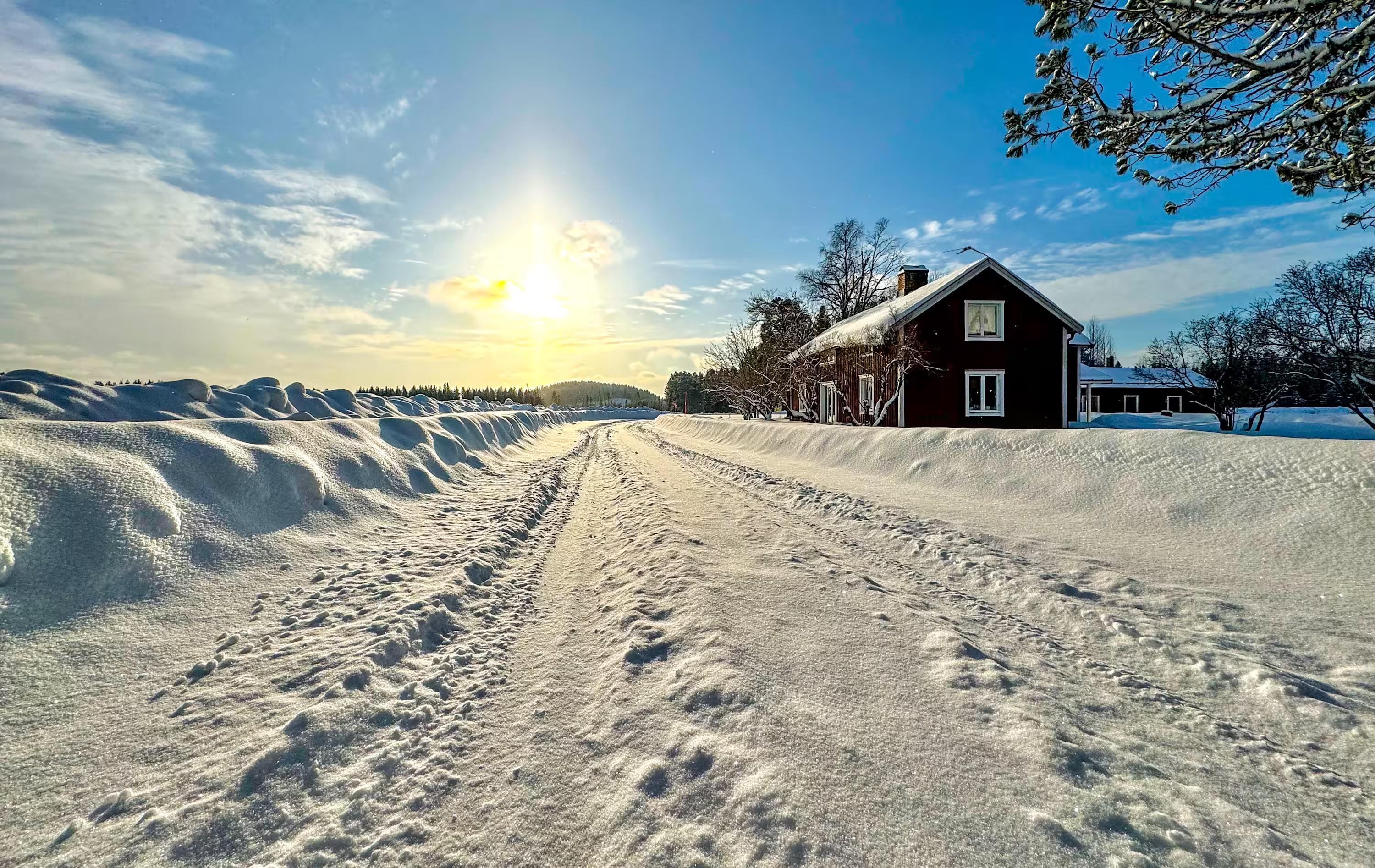 WRC Rally Suecia › Lista de inscritos 2026